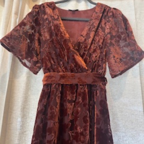 Baltic Born | Dresses | Baltic Born Uma In Copper Velvet Burnout | Poshmark